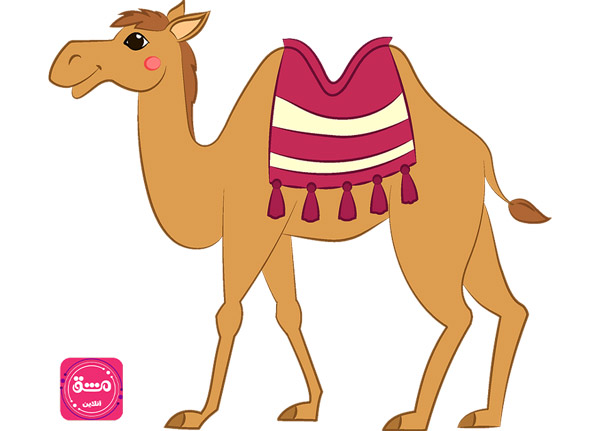 تحقیق در مورد شتر | 20 حقیقت و ویژگی شگفت انگیز + مقاله